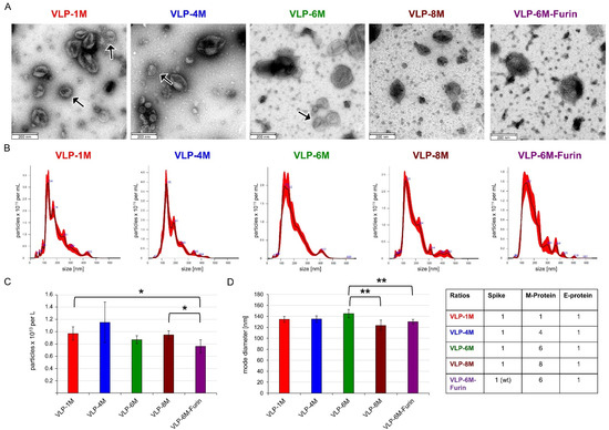 Baculovirus-Free SARS-CoV-2 Virus-like Particle Production in Insect ...
