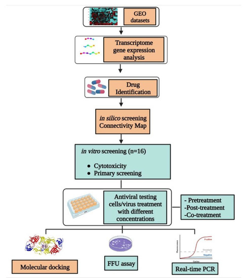 Viruses | Free Full-Text | A Transcriptomics-Based Bioinformatics Approach for Identification ...