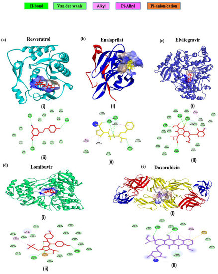 Viruses | Free Full-Text | A Transcriptomics-Based Bioinformatics Approach for Identification ...
