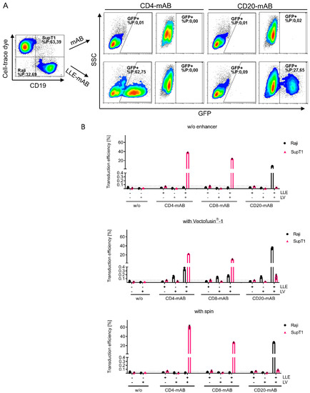 Adapter-Mediated Transduction with Lentiviral Vectors: A Novel Tool for ...