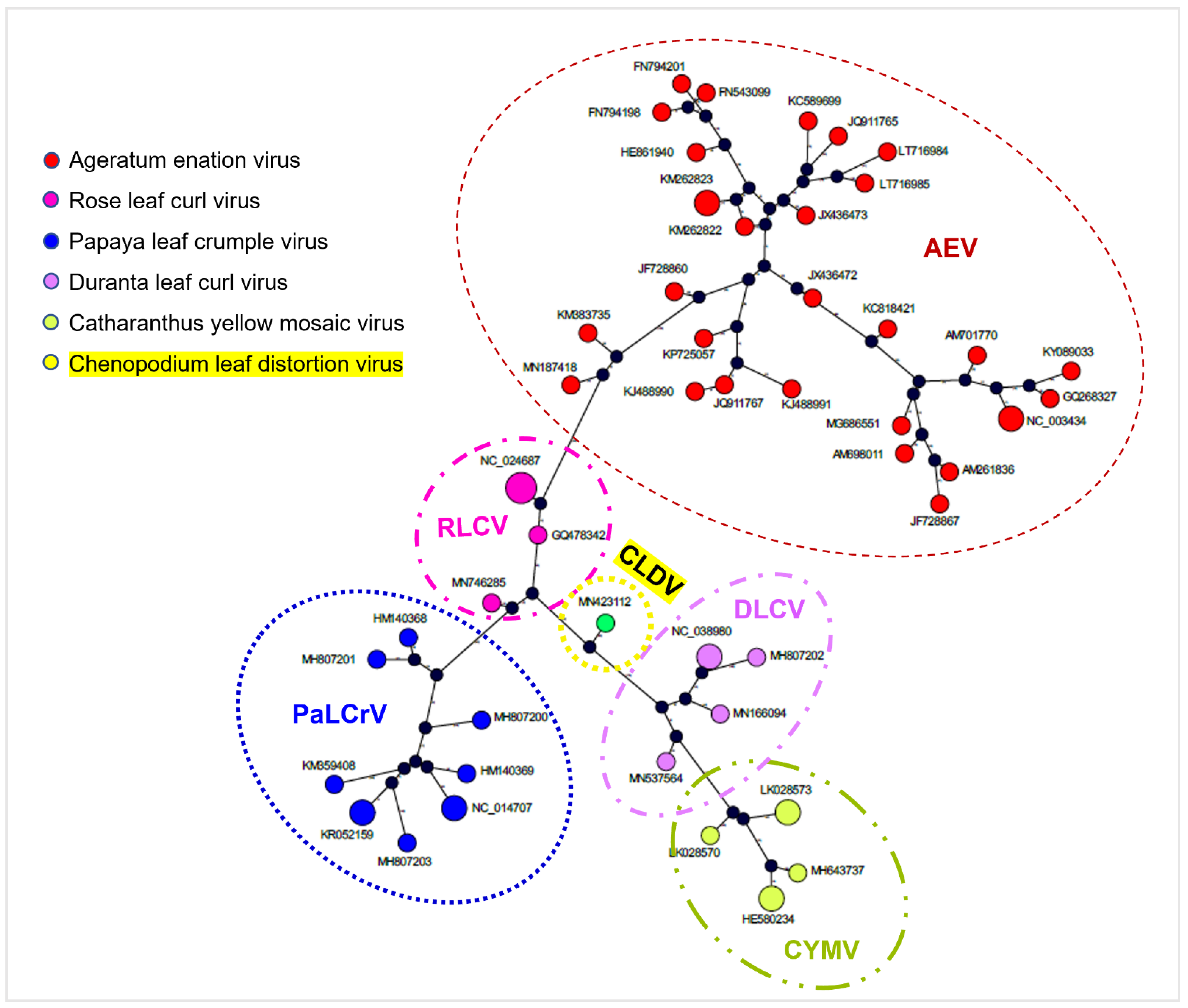 Interspecies Recombination-Led Speciation of a Novel Geminivirus in ...
