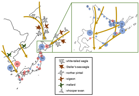 Detection of New H5N1 High Pathogenicity Avian Influenza Viruses in ...