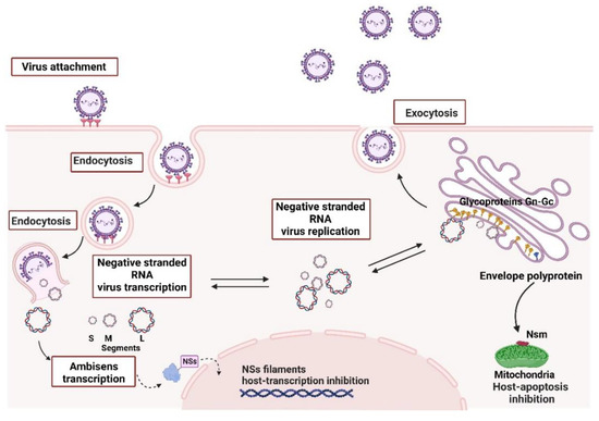 A Review of Omics Studies on Arboviruses: Alphavirus, Orthobunyavirus ...