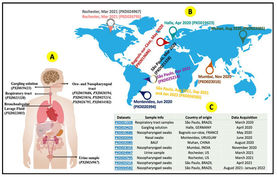 Catching the Wave: Detecting Strain-Specific SARS-CoV-2 Peptides in Clinical Samples Collected ...