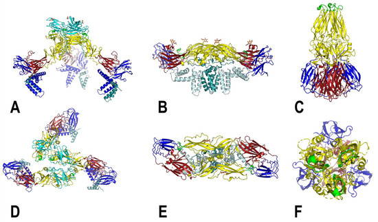 The Japanese Encephalitis Antigenic Complex Viruses: From Structure to ...