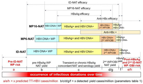 Efficacy of Different Testing Scenarios in Reducing Transfusion ...
