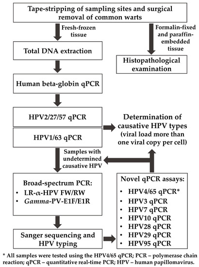 An Improved Protocol for Comprehensive Etiological Characterization of ...