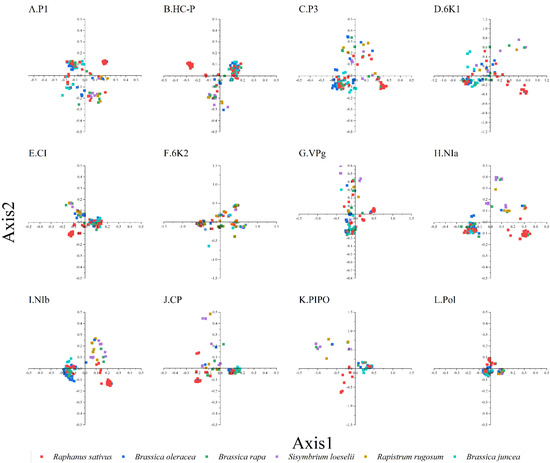 Viruses | Free Full-Text | Host Plants Shape the Codon Usage Pattern of ...
