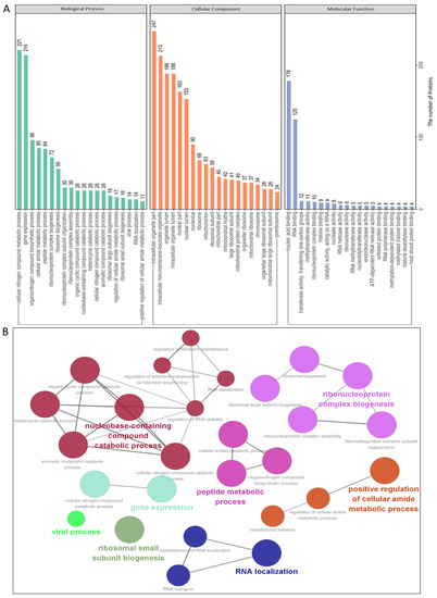The Network of Interactions between the Porcine Epidemic Diarrhea Virus ...