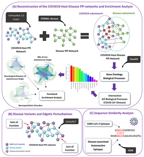 Viruses | Free Full-Text | Systems Bioinformatics Reveals Possible ...