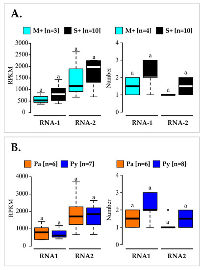 Characterization of Grapevine Fanleaf Virus Isolates in ‘Chardonnay ...