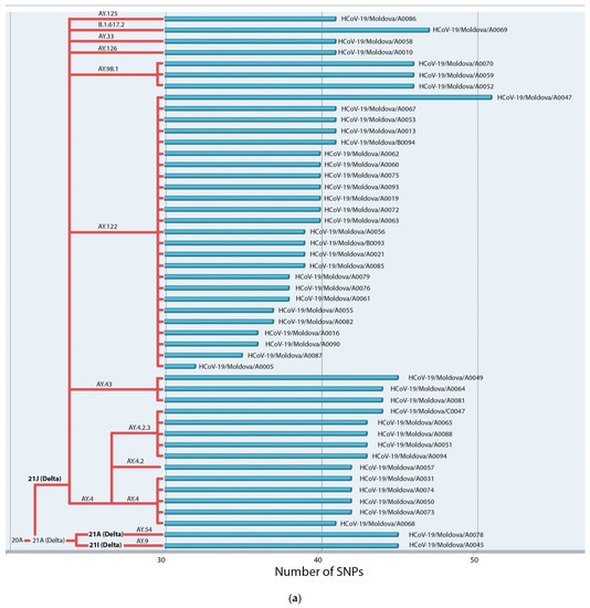 SARS-CoV-2 from COVID-19 Patients in the Republic of Moldova: Whole-Genome Sequencing Results