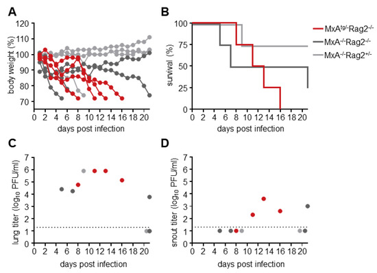 Increased Polymerase Activity of Zoonotic H7N9 Allows Partial Escape ...