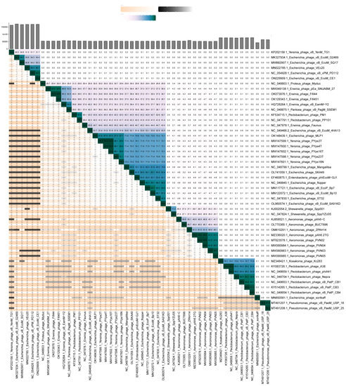 Isolation, Characterization, and Genome Analysis of a Novel ...