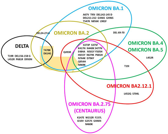 SARS-CoV-2: Searching for the Missing Variants