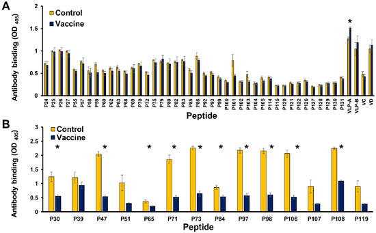 Carboxyl-Terminal Decoy Epitopes in the Capsid Protein of Porcine ...
