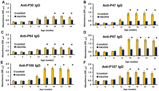 Viruses | Free Full-Text | Carboxyl-Terminal Decoy Epitopes in the ...