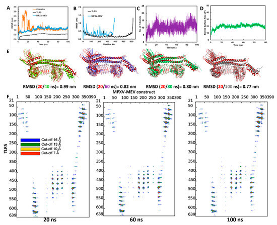 Viruses | Free Full-Text | Immunoinformatics-Aided Design of a Peptide ...