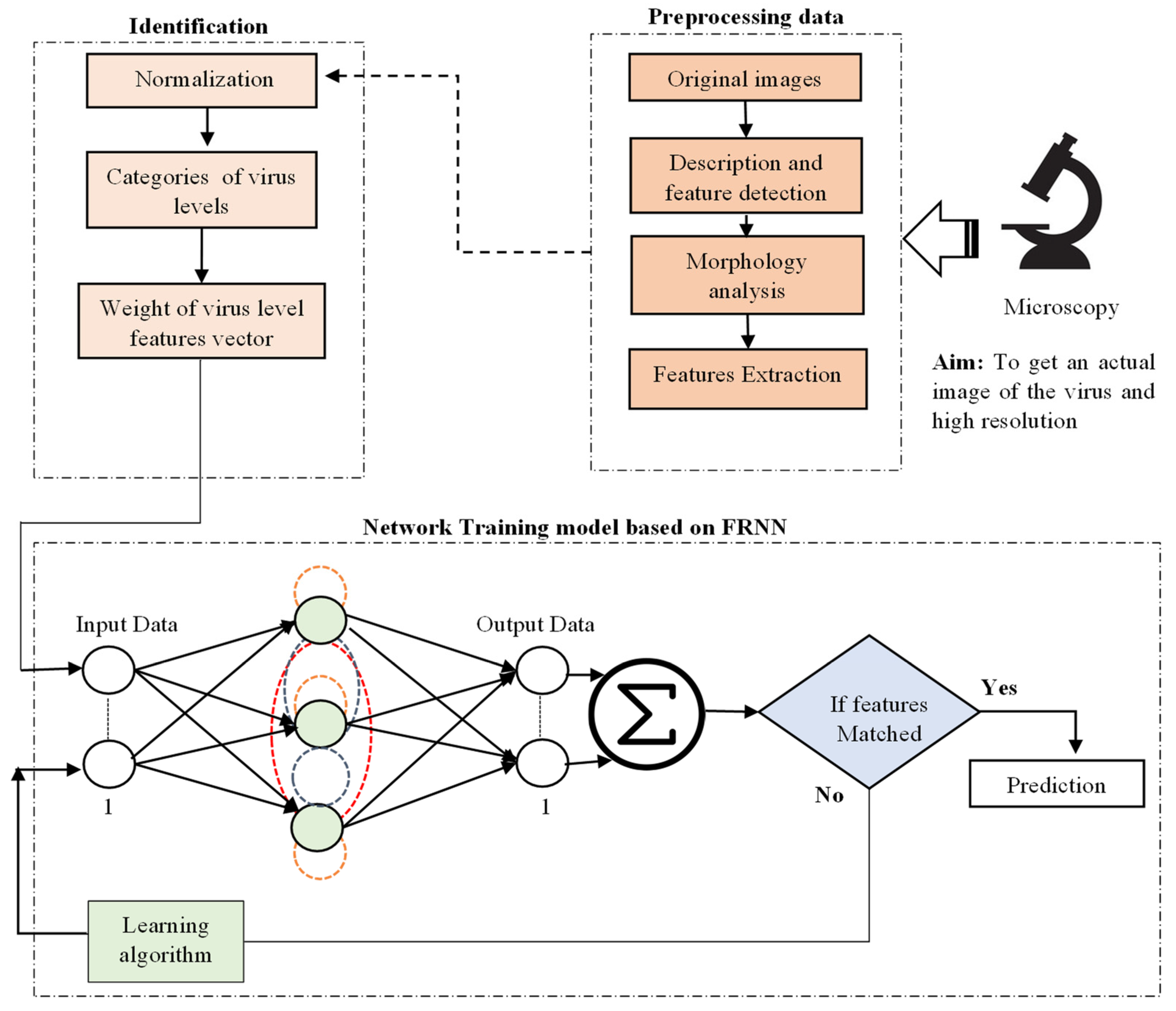 SARS-CoV-2 Morphometry Analysis and Prediction of Real Virus Levels Based on Full Recurrent ...