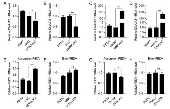 DNAJA3 Interacts with PEDV S1 Protein and Inhibits Virus Replication by ...