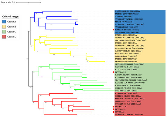 Molecular Characterization and Phylogenetic Analysis of Feline Calicivirus Isolated in Guangdong ...