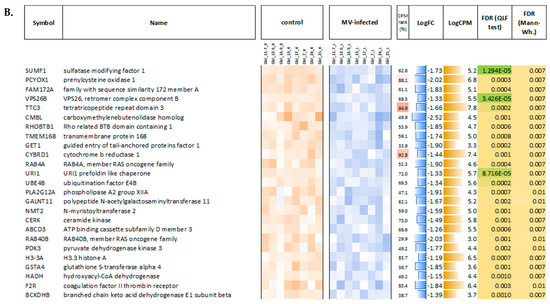 Transcriptome Analysis of Human Glioblastoma Cells Susceptible to ...