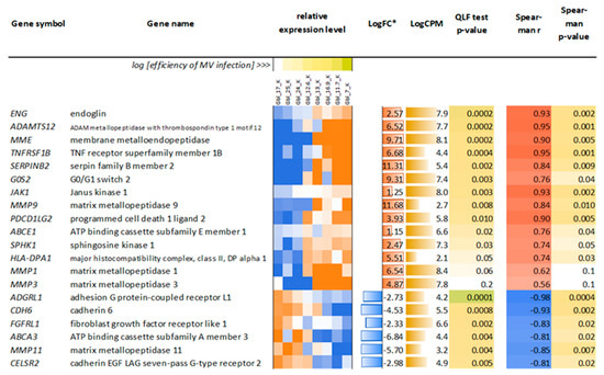 Transcriptome Analysis of Human Glioblastoma Cells Susceptible to ...