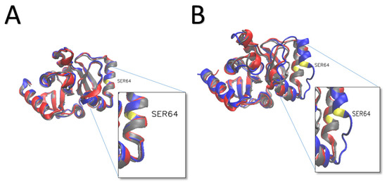 Molecular Dynamics Simulations to Decipher the Role of Phosphorylation ...
