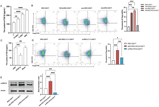 TGF-β from the Porcine Intestinal Cell Line IPEC-J2 Induced by Porcine ...