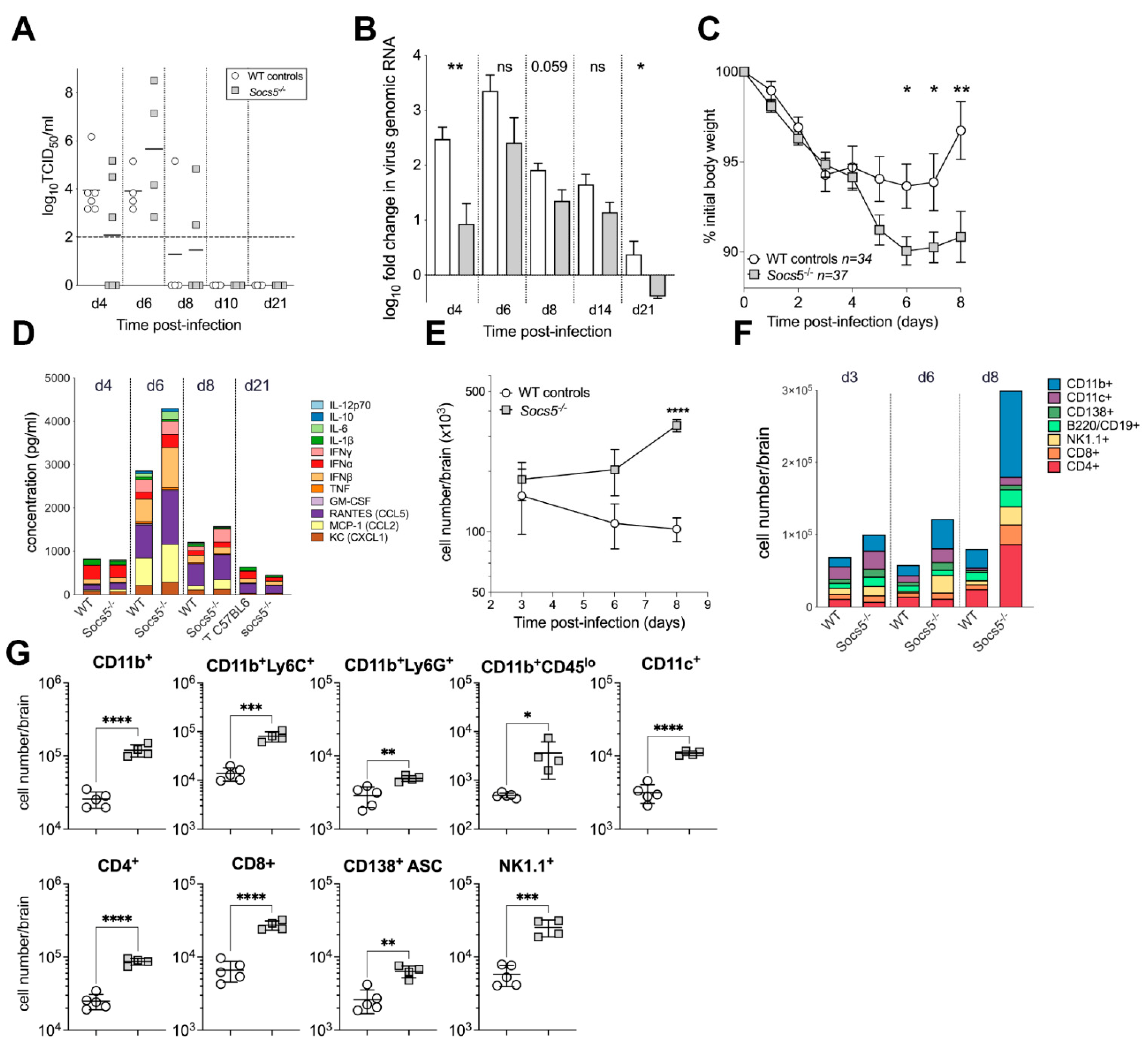 Suppressor of Cytokine Signalling 5 (SOCS5) Modulates Inflammatory ...