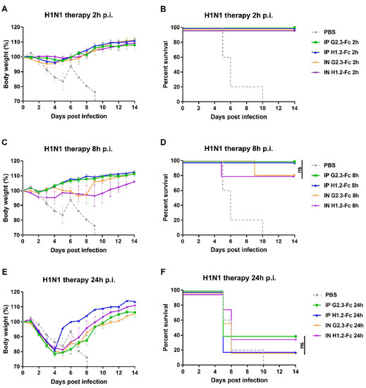 Viruses | Free Full-Text | Cross-Reactive Fc-Fused Single-Domain ...