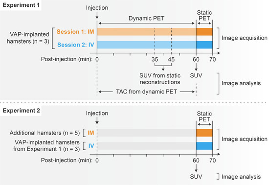 Intramuscular [18F]F-FDG Administration for Successful PET Imaging of ...