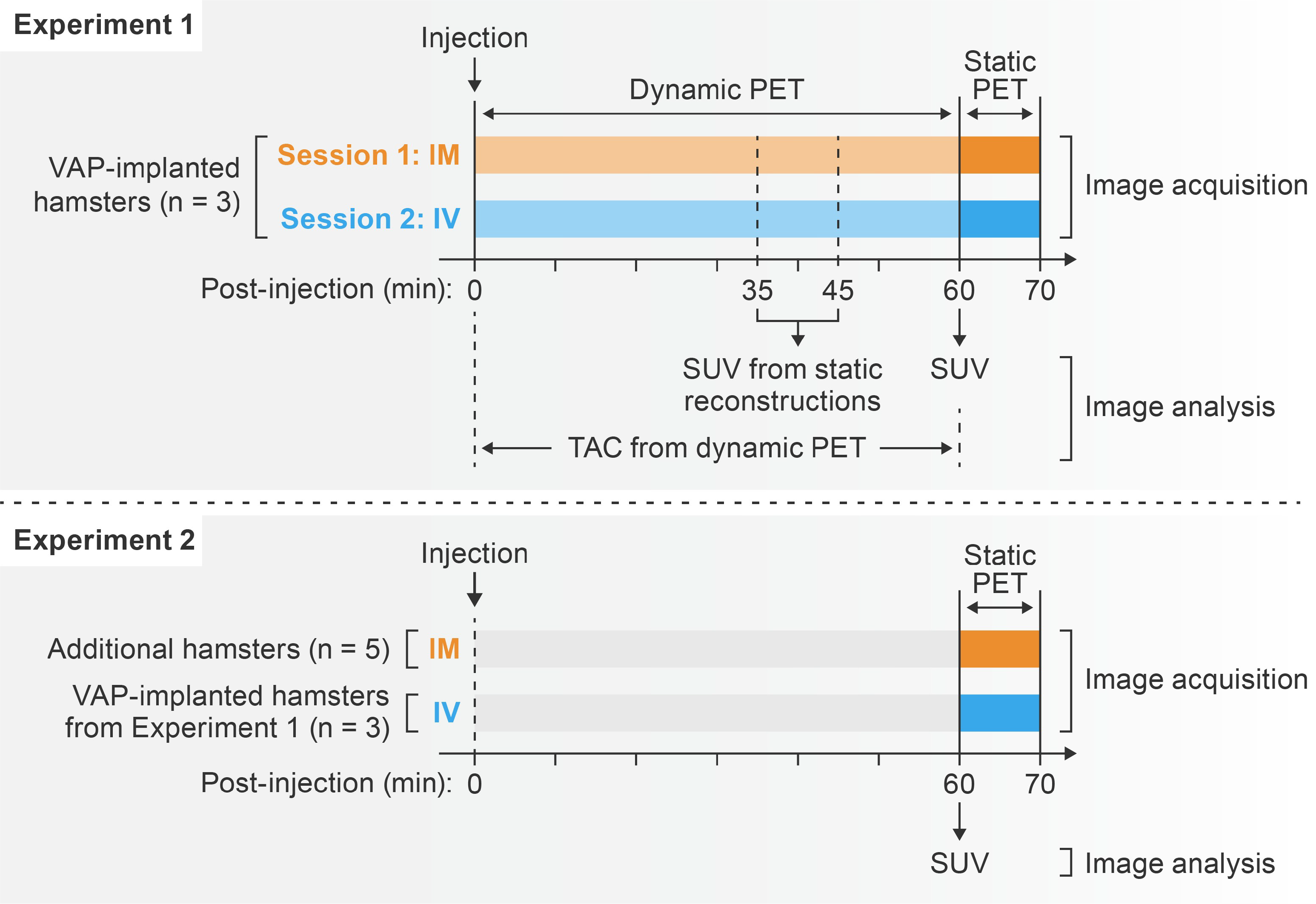 Intramuscular [18F]F-FDG Administration for Successful PET Imaging of ...