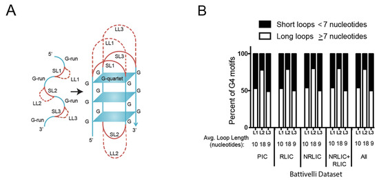G-Quadruplex DNA and Other Non-Canonical B-Form DNA Motifs Influence ...