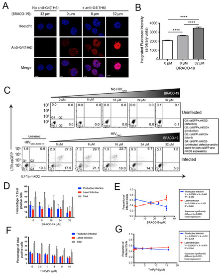 G-Quadruplex DNA and Other Non-Canonical B-Form DNA Motifs Influence ...