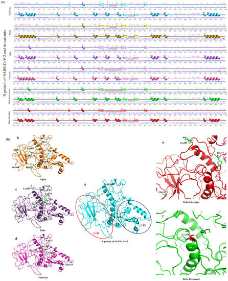Viruses | Free Full-Text | SARS-CoV-2 Variants of Concern and ...