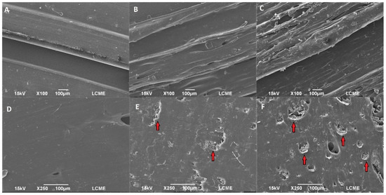 3D-Printed EVA Devices for Antiviral Delivery and Herpes Virus Control ...