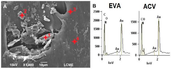 3D-Printed EVA Devices for Antiviral Delivery and Herpes Virus Control ...