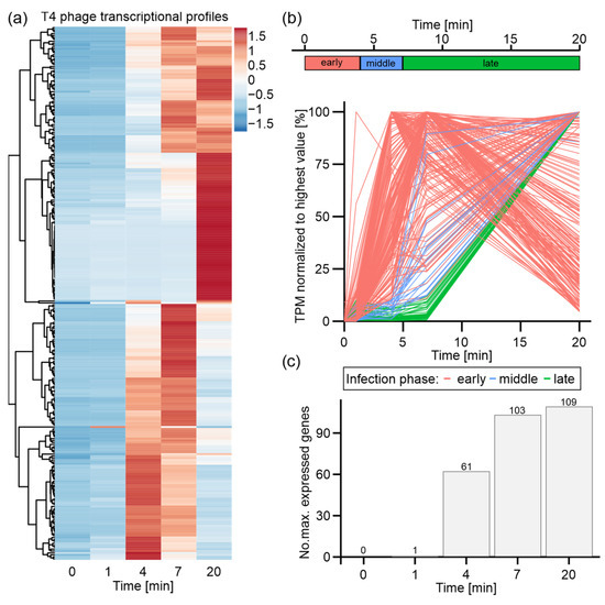 Integrated Omics Reveal Time-Resolved Insights into T4 Phage Infection ...
