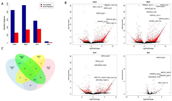 Modulation of HERV Expression by Four Different Encephalitic ...