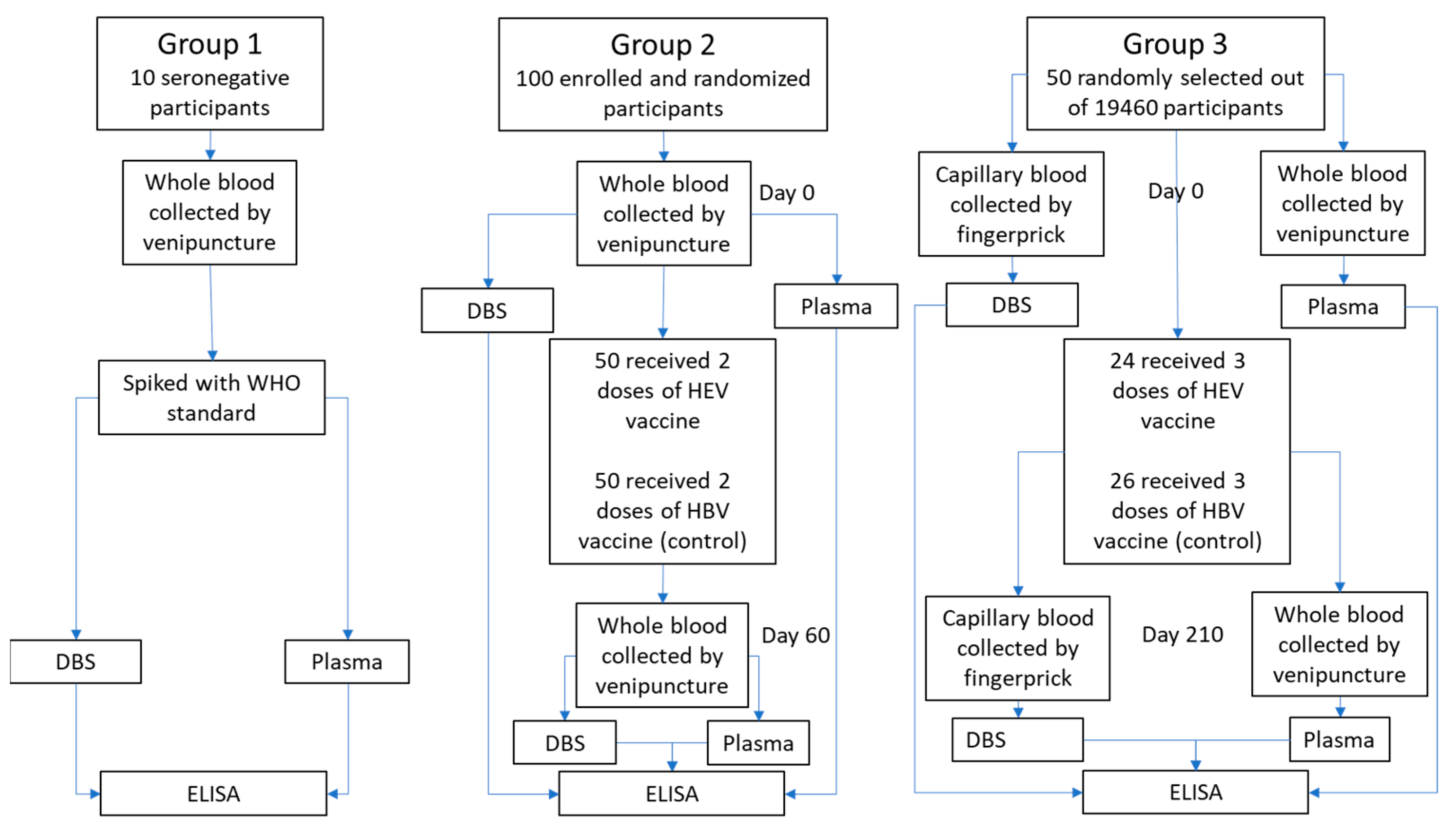 Stability and Feasibility of Dried Blood Spots for Hepatitis E Virus ...