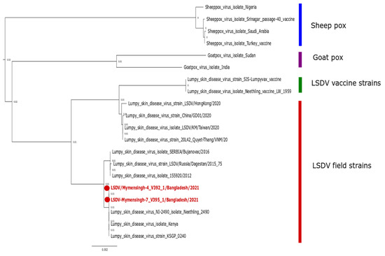 Clinical Epidemiology, Pathology, and Molecular Investigation of Lumpy ...
