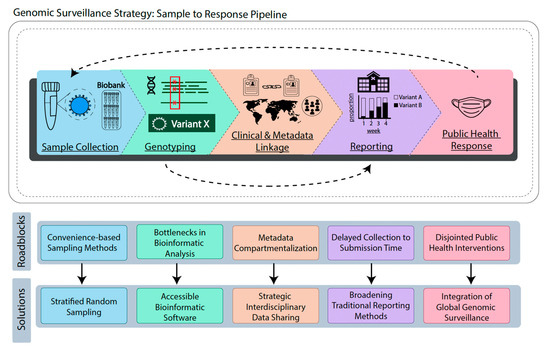 Viruses | Free Full-Text | Challenges and Opportunities for Global ...
