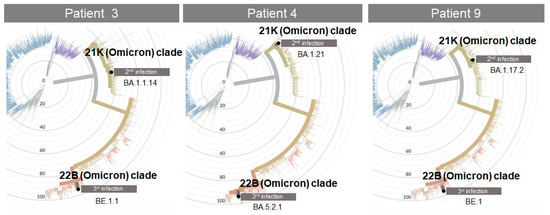 SARS-CoV-2 and Its Variants in Thrice-Infected Health Workers: A Case ...