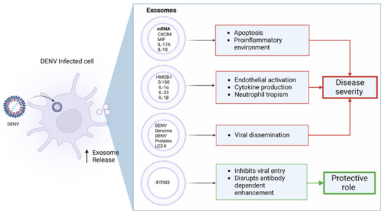 Immune-Mediated Pathogenesis in Dengue Virus Infection