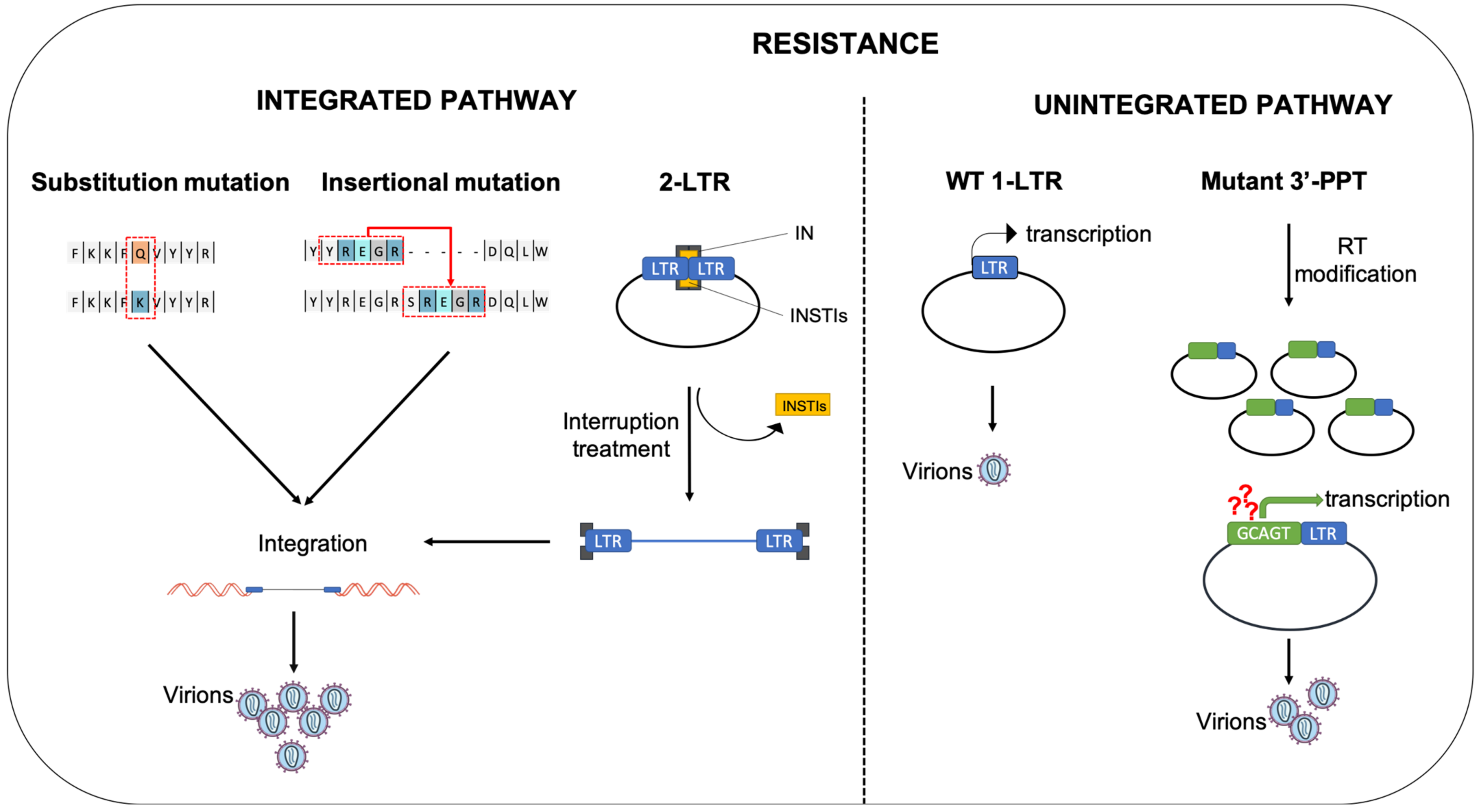 Different Pathways Conferring Integrase Strand-Transfer Inhibitors ...