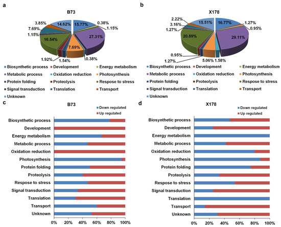 Comparative Proteomic Analyses of Susceptible and Resistant Maize ...