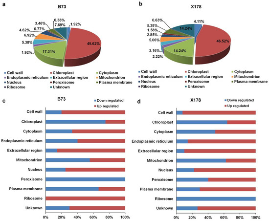 Comparative Proteomic Analyses of Susceptible and Resistant Maize ...