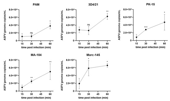 African Swine Fever Virus Exhibits Distinct Replication Defects in ...