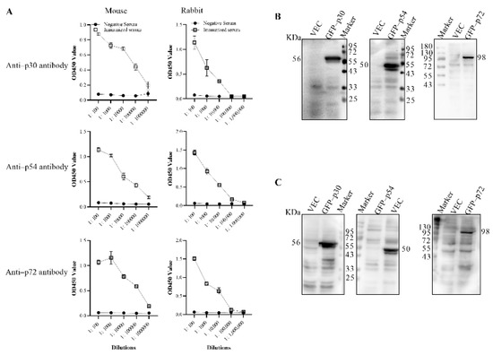 Indirect ELISA Using Multi–Antigenic Dominants of p30, p54 and p72 ...